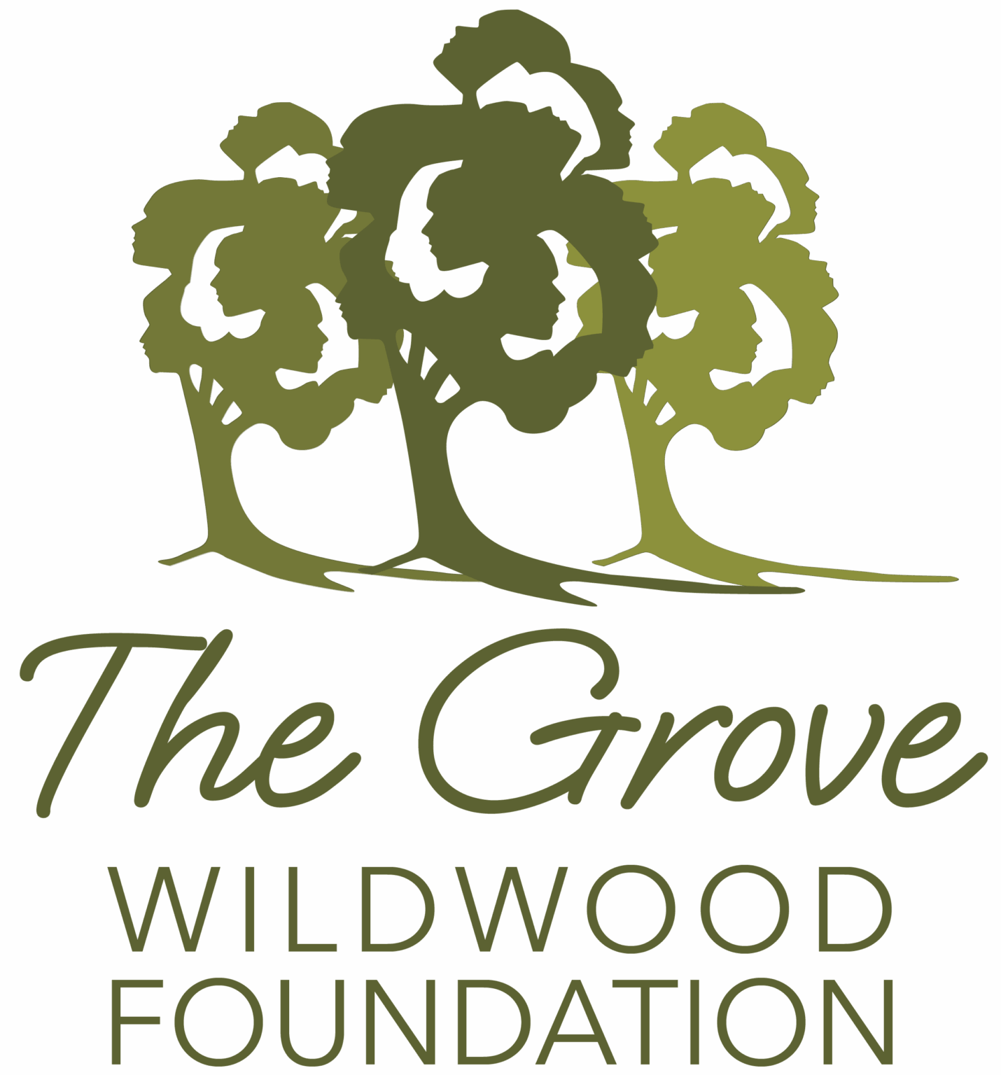 The Grove - Wildwood Programs
